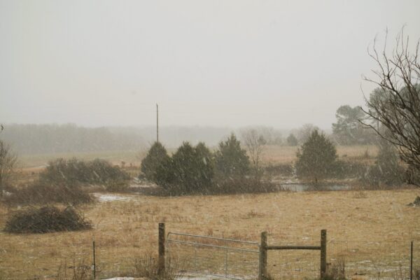 Farming in a Winter Storm - Plane View Farm