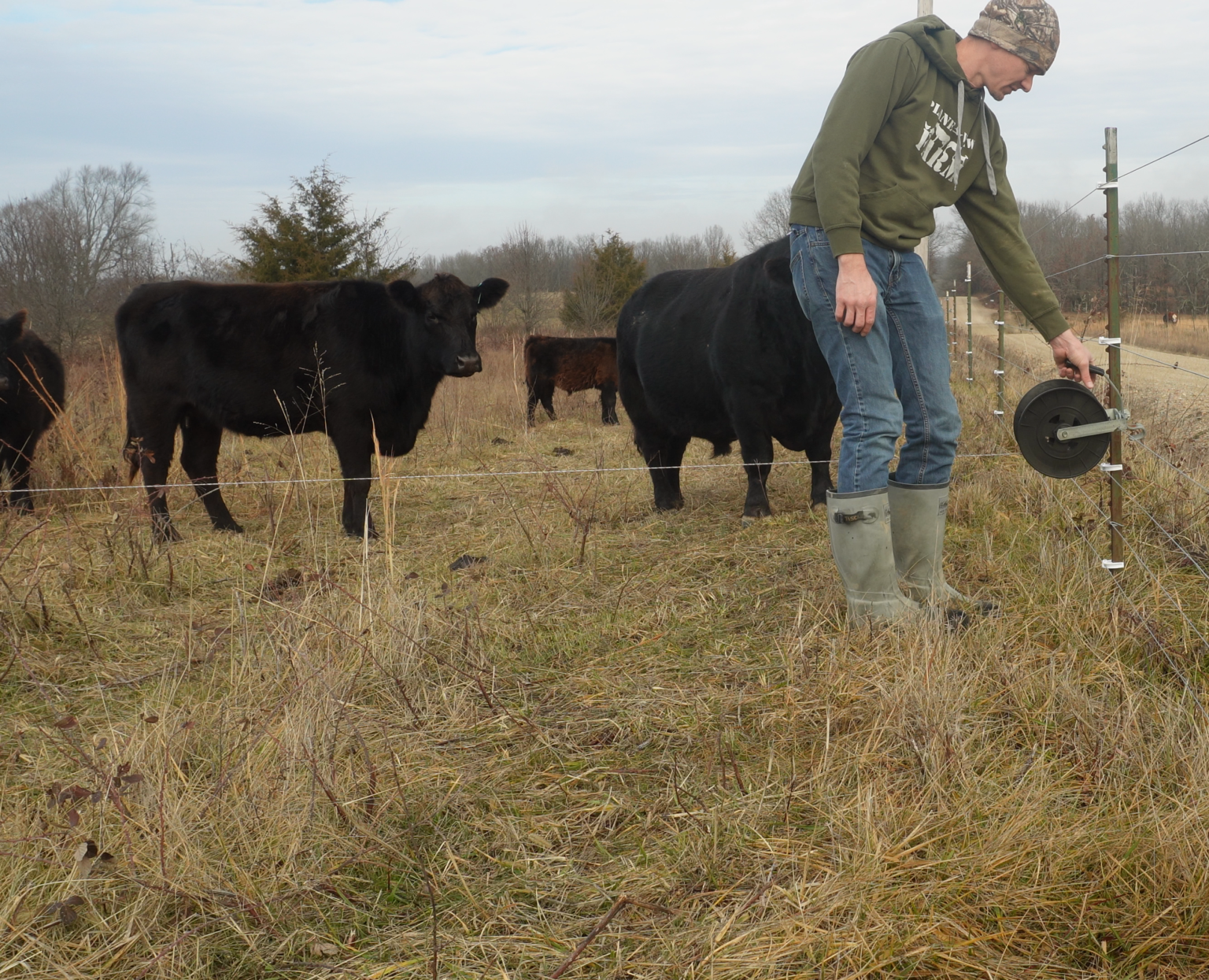 How to Make MANAGEMENT INTENSIVE GRAZING Work for Your Farm - Plane ...