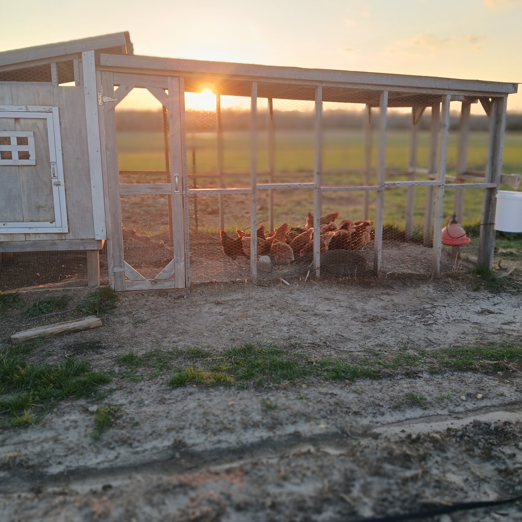 On The Farm - Plane View Farm